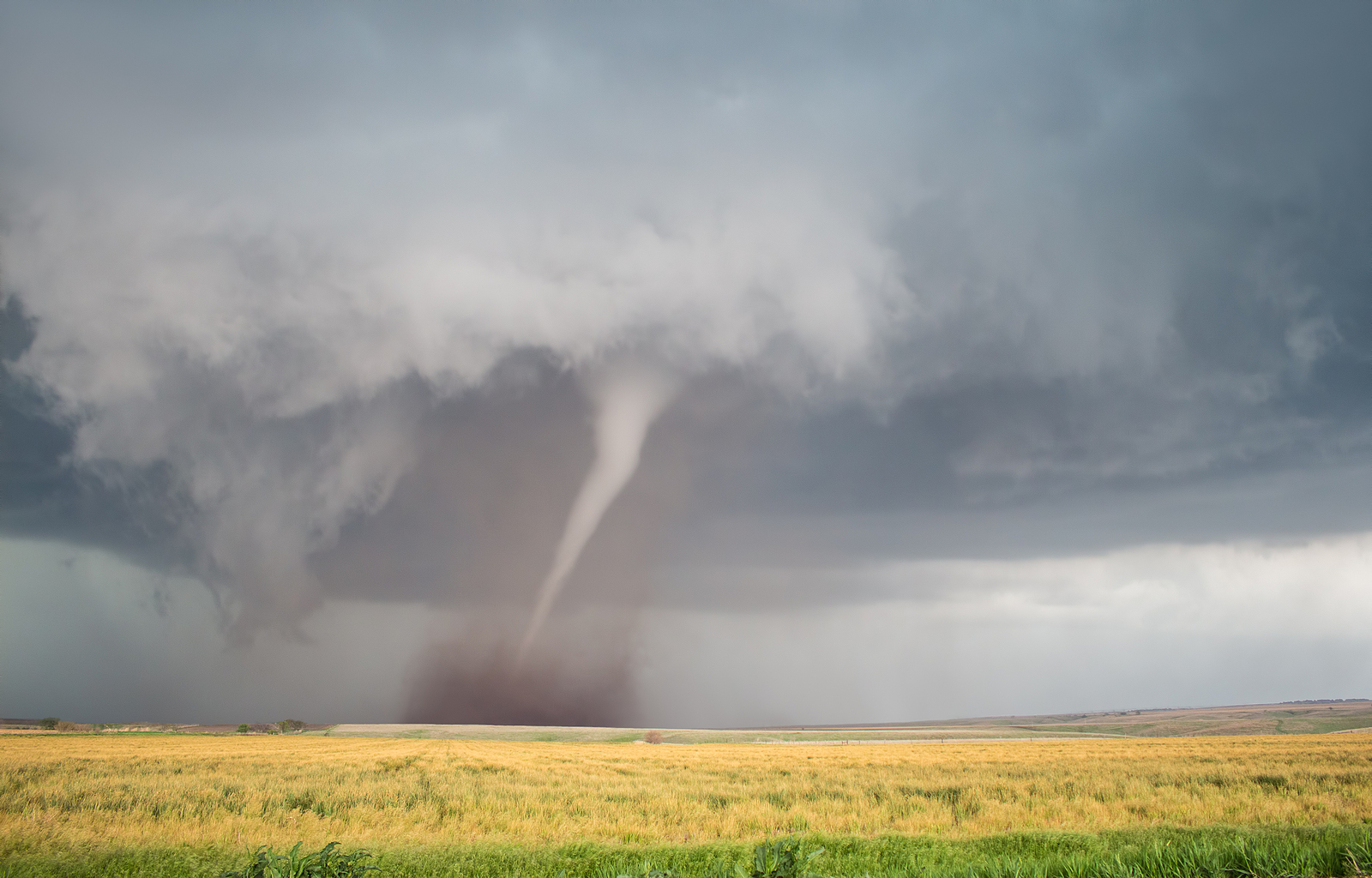 BLOG: Tornadoes and tomatoes|Baptist Messenger of Oklahoma